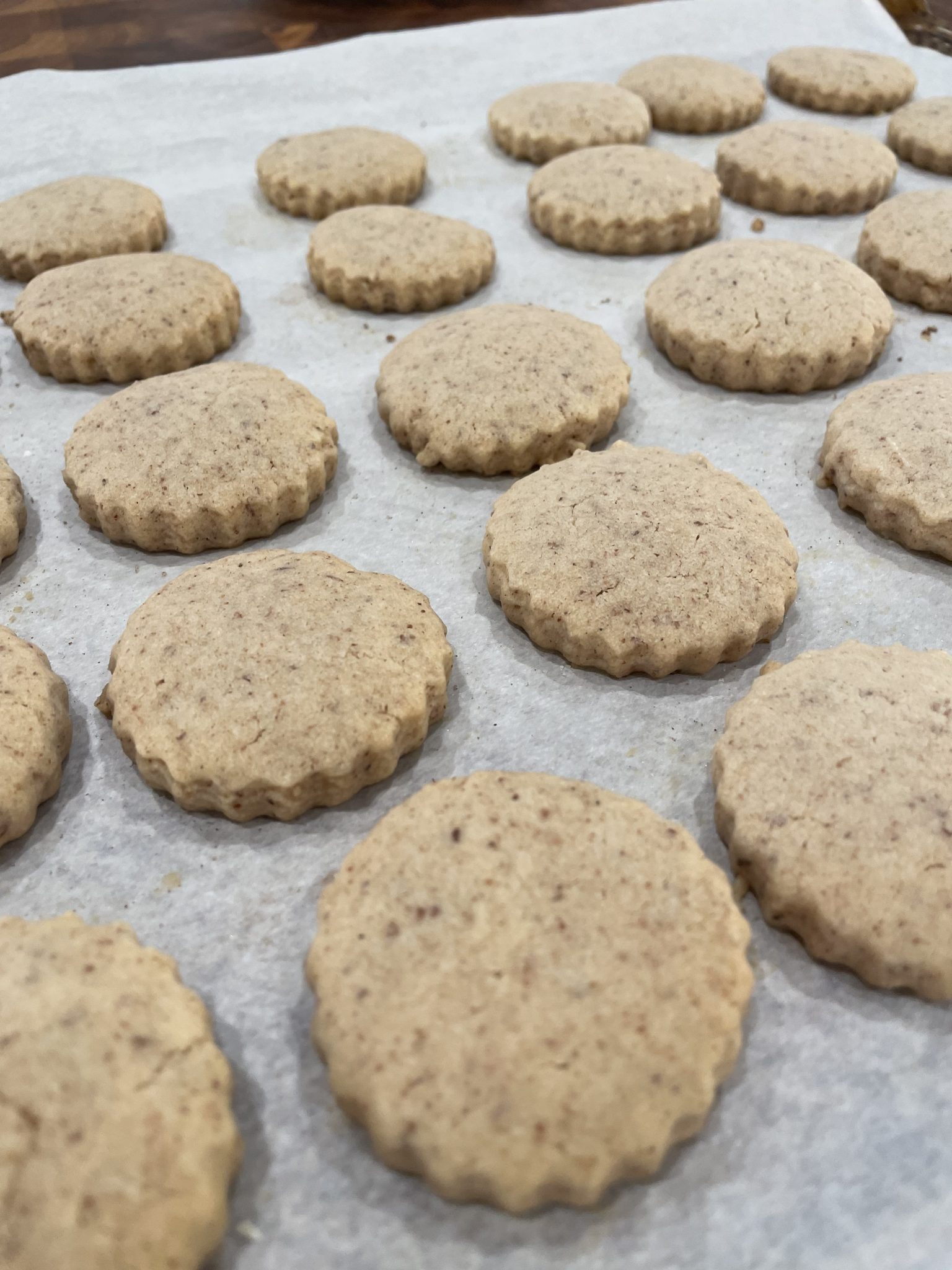 Hojarascas (Mexican Cinnamon Sugar Cookies) – My Back Kitchen