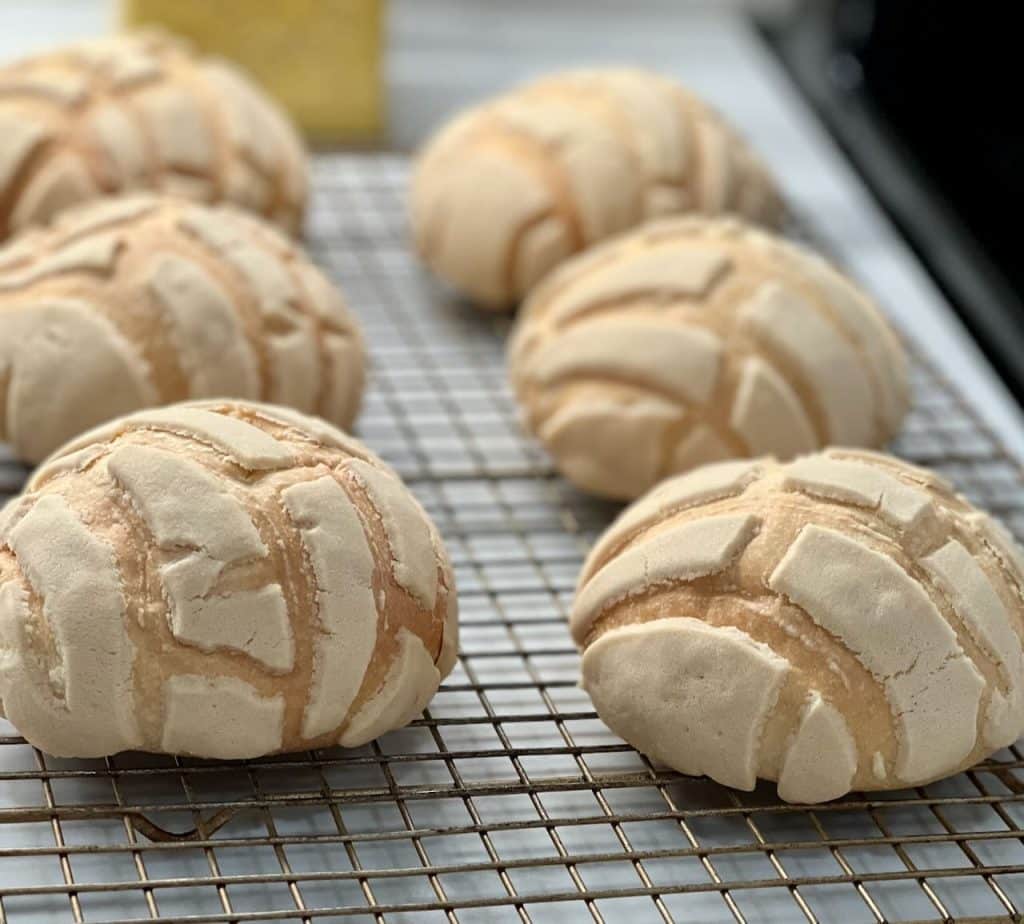 Receta de Conchas – My Back Kitchen