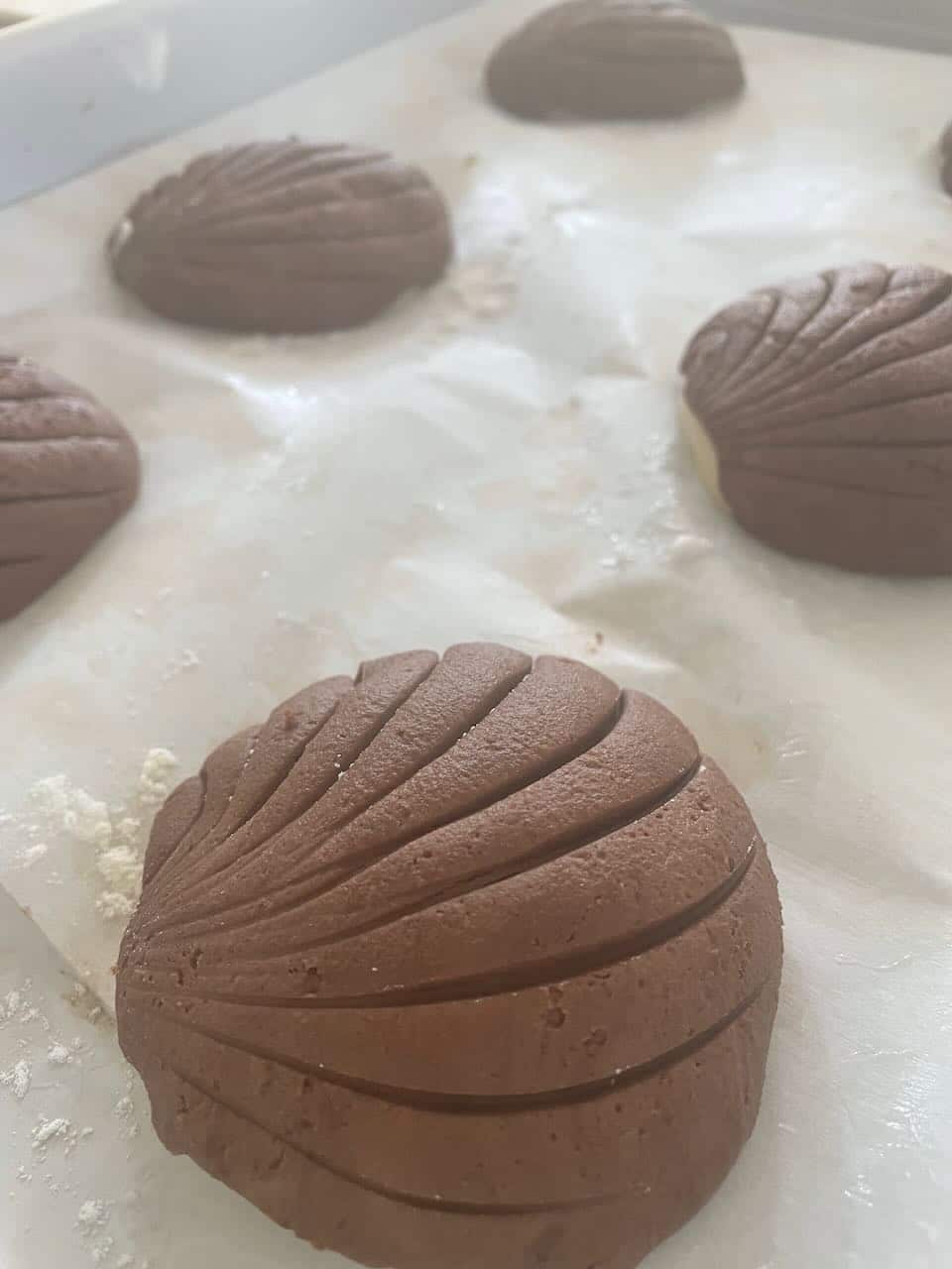 Receta de Conchas – My Back Kitchen